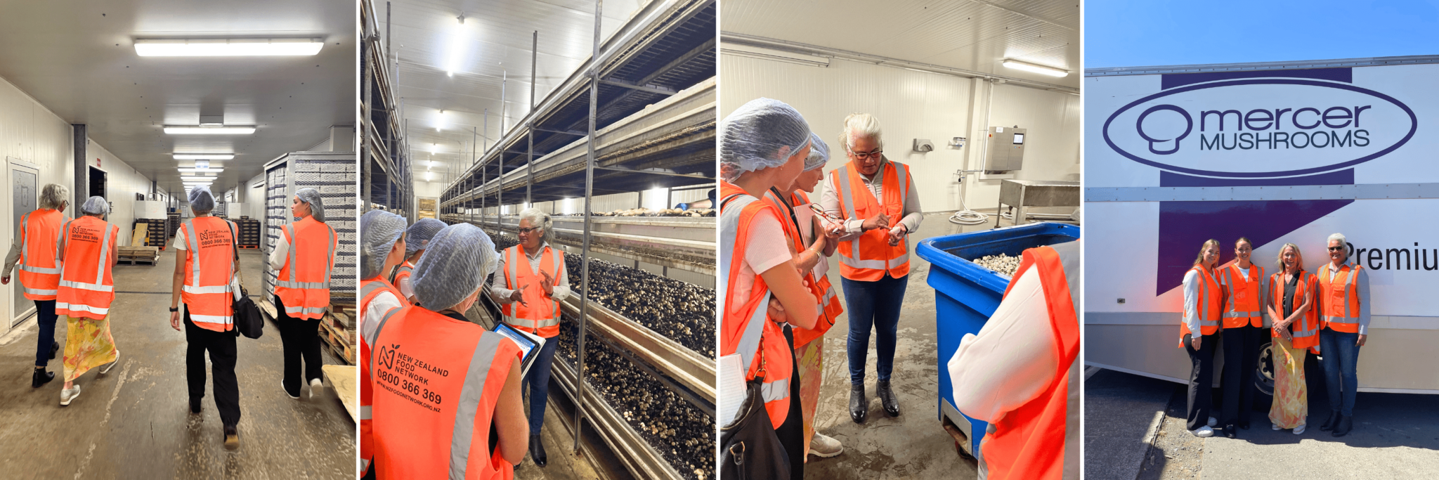 Mushrooms with a Mission - How Mercer Mushrooms is Supporting Kiwis ...